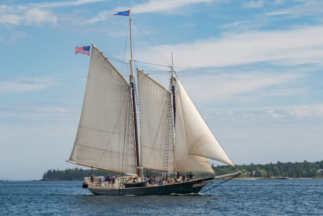 Meet the owners of Schooner Stephen Taber - Maine Windjammer Association